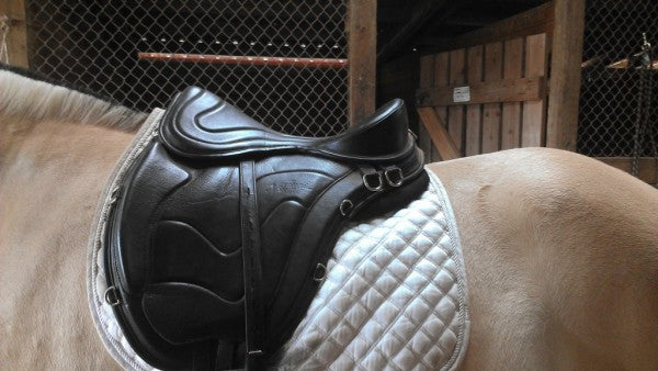 One Strong Case for Treeless Saddles - Saddle Up Treeless Saddles