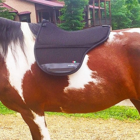Freeform Saddle Pads - for Treeless or Treed Saddles - Saddle Up ...