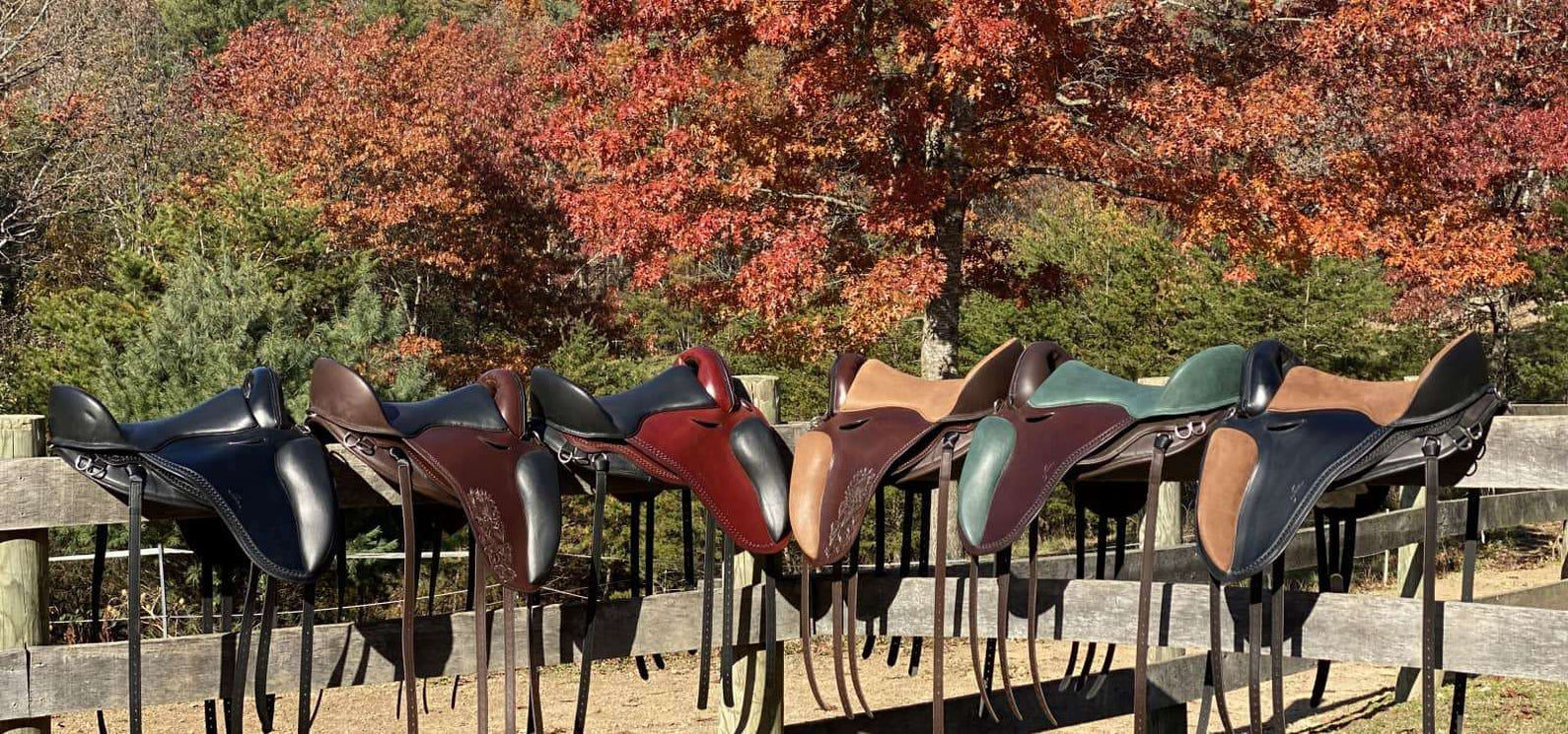Treeless Saddles for Trail, Endurance & Dressage